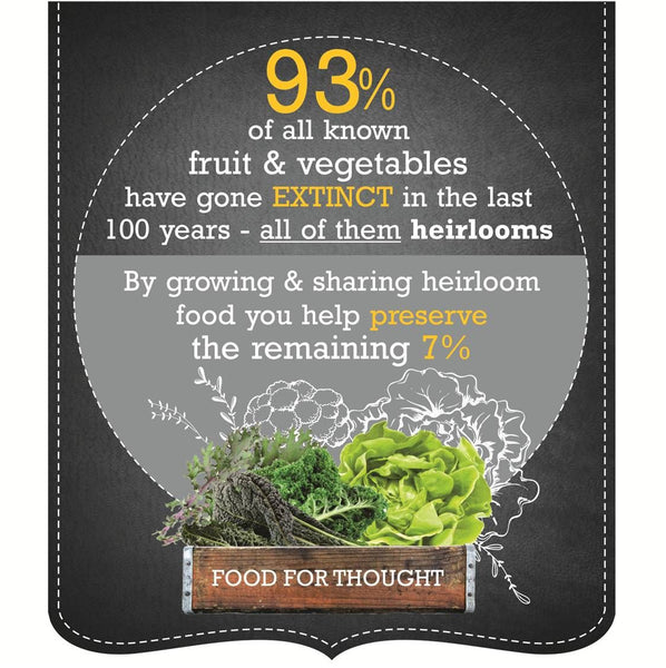 Italian Herbs - Slab Of Seeds – Vendange