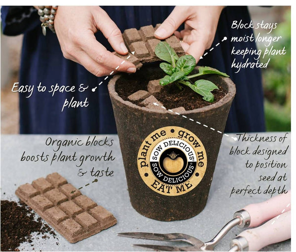 Fresh Herbs - Slab Of Seeds – Vendange